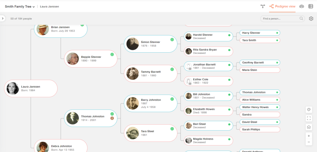 Cómo Hacer Un árbol Genealógico: Guía Paso A Paso Y Herramientas Online ...